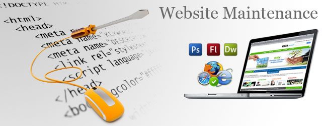 Website Maintenance Packages at affordable price- Elogicsoft.com